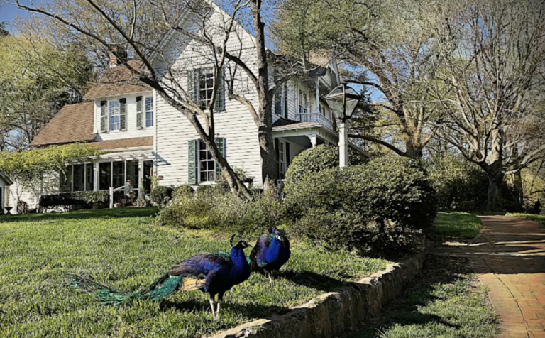 Tour offers rare look at historic homes | Cornelius Today