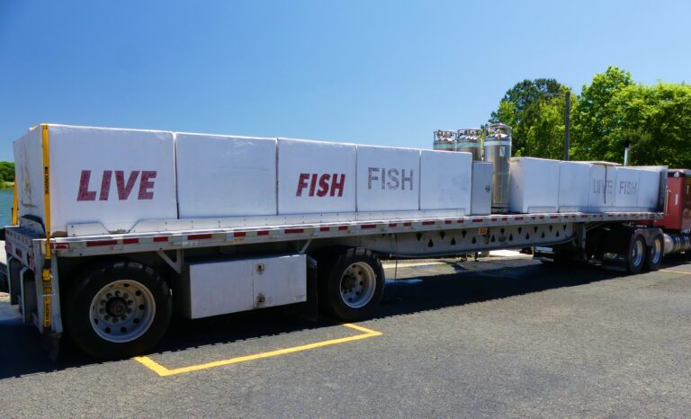 LKN Fish Stocking Truck | Cornelius Today