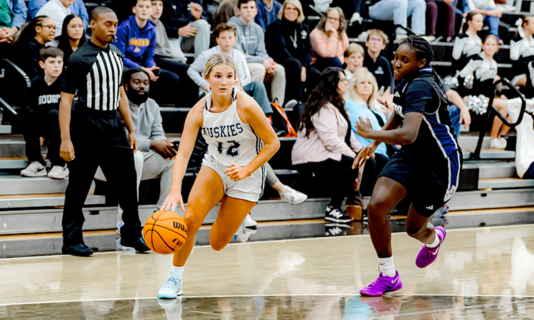 Hough girls, boys basketball in position for postseason runs ...